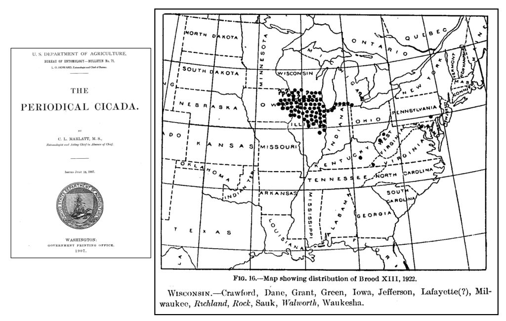 When & Where – Periodical Cicadas in Wisconsin – UW–Madison